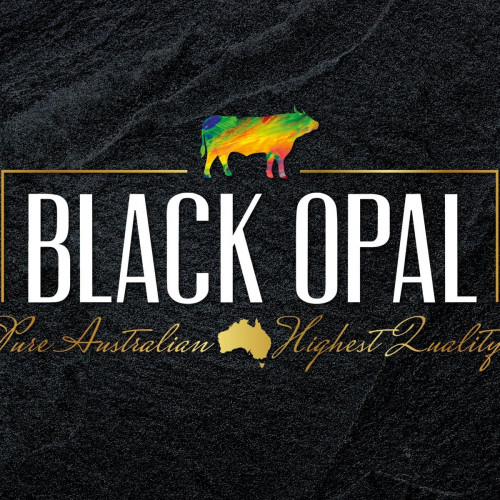 Kg black opal store