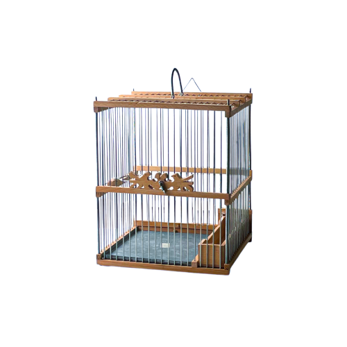 Wooden Bird Cage WCS Biocenter